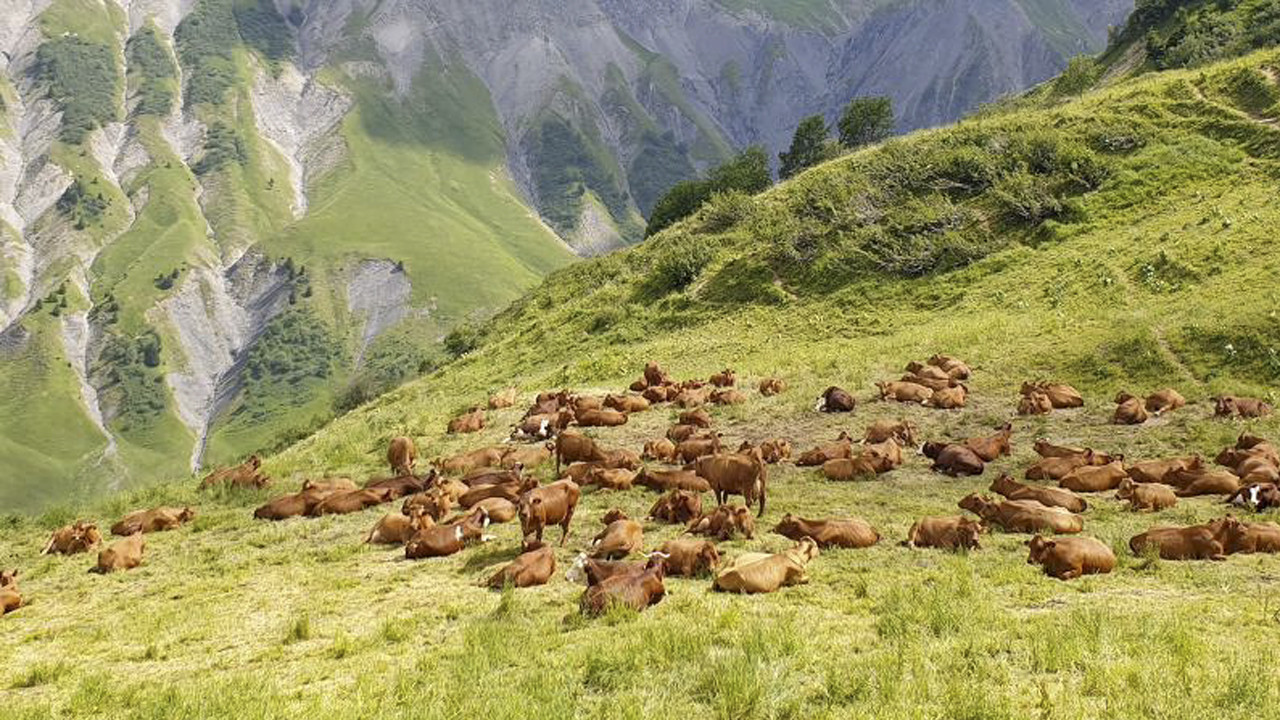 Alpenweide Les Combes | Les Menuires